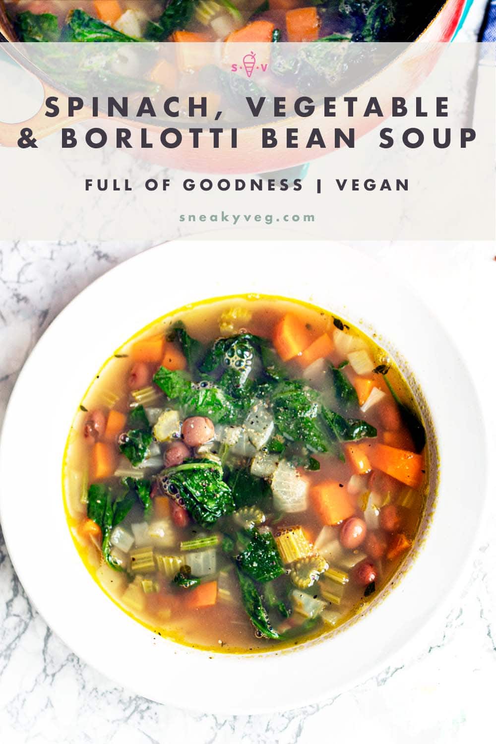 Vegetable, spinach and borlotti bean soup - Sneaky Veg